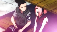 ShikaSaku | Naruto Couples Wiki | Fandom
