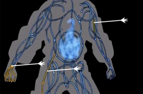 Gentle Fist: Tenketsu Piercing Arrows | NarutoData Wiki | Fandom