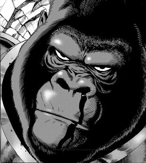 Danko | Naruto Fanon Wiki | Fandom