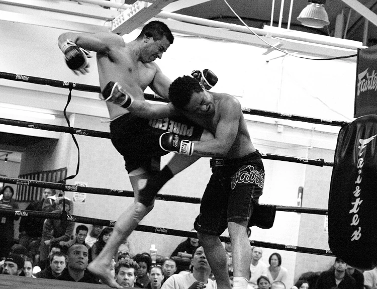 Tiger Blizzard | Naruto Fanon Wiki | Fandom