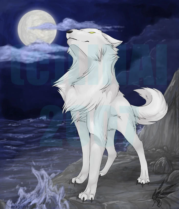 Arctic Wolf Human Form Anime