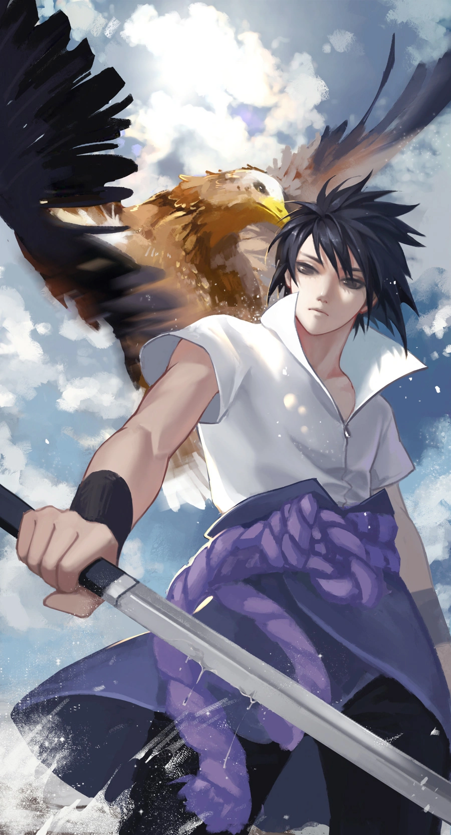 Sasuke Hawk Sage Mode