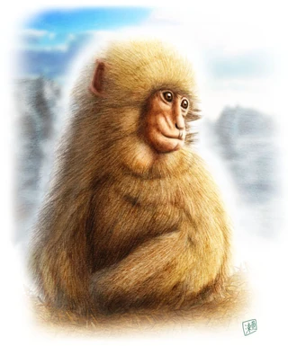 Monkeys | Naruto Fanon Wiki | Fandom