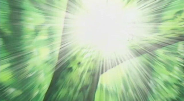 Swift Release: Flash | Naruto Fanon Wiki | Fandom