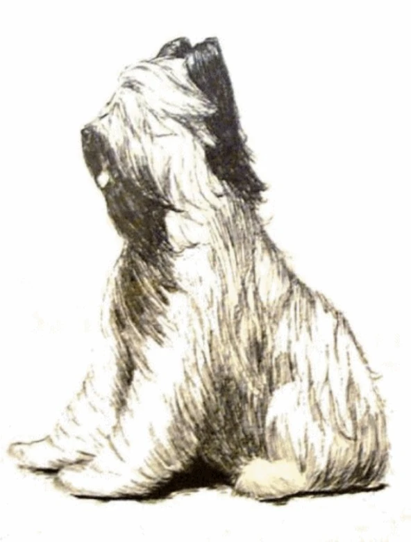 Michio | Naruto Fanon Wiki | Fandom