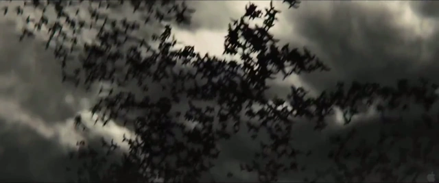 Summoning: Thousand Ravens Joining Flight | Naruto Fanon Wiki | Fandom