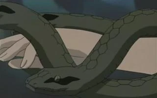 Hidden Shadow Snake Hands | Naruto Fanon Wiki | Fandom