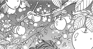 Lost Fruit | Naruto Fanon Wiki | Fandom