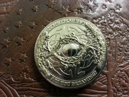 Seibutsukei Talisman | Naruto Fanon Wiki | Fandom