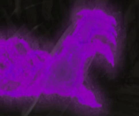 Meiton: Kurōkonton | Naruto Fanon Wiki | Fandom