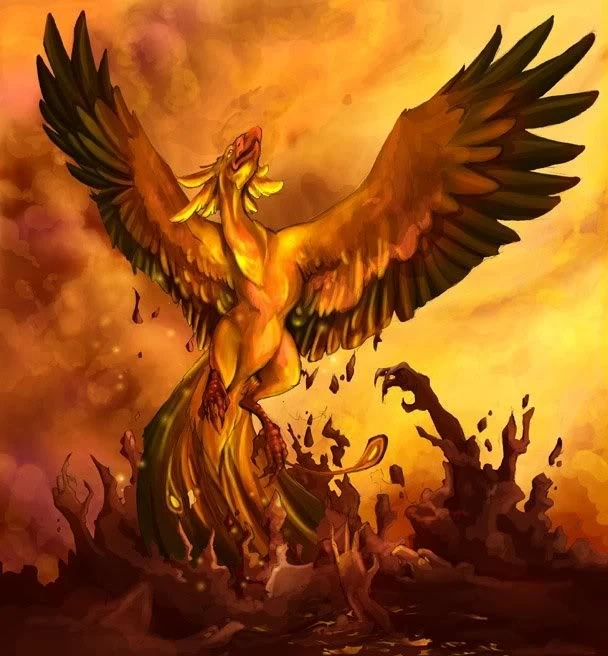 Phoenix (Dragonlord45) | Naruto Fanon Wiki | Fandom