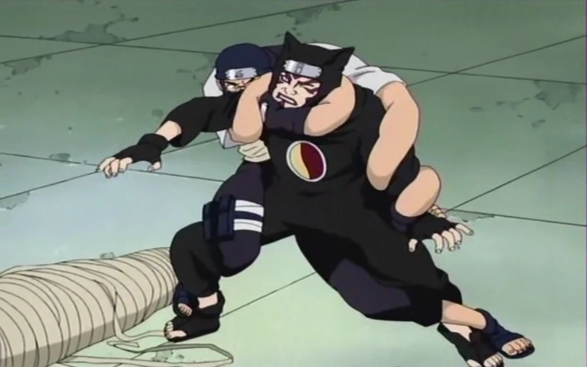 Soft Physique Modification | Naruto Fanon Wiki | Fandom