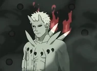 Six Paths Yang Power (Seireitou) | Naruto Fanon Wiki | Fandom