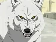 Shiromaru | Naruto Fanon Wiki | Fandom