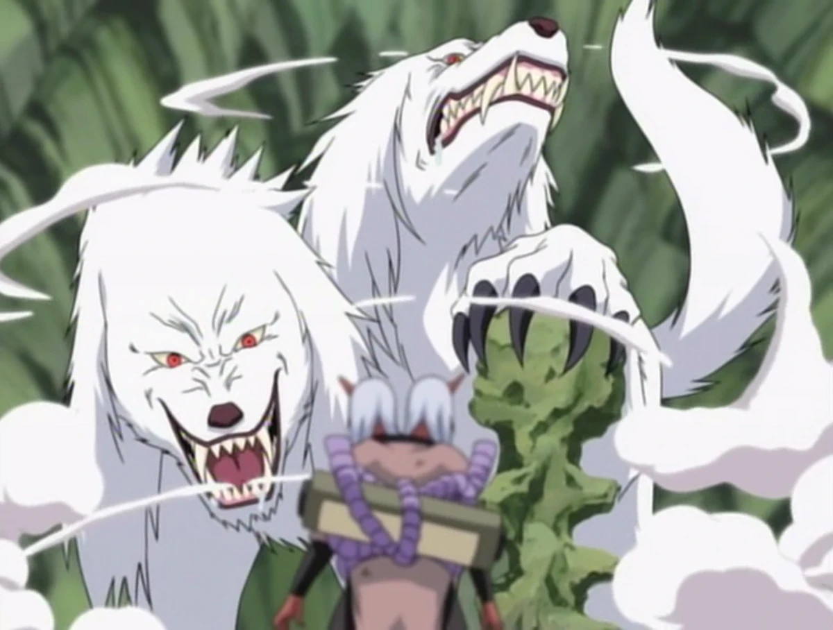 Human Beast Combination Transformation: Double-Headed Wolf | Naruto ...