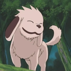 inuzuka clan members