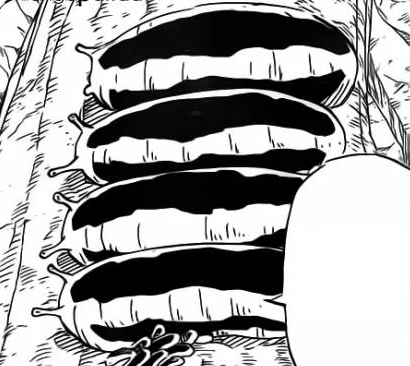 Slug Clone Technique | Naruto Fanon Wiki | Fandom