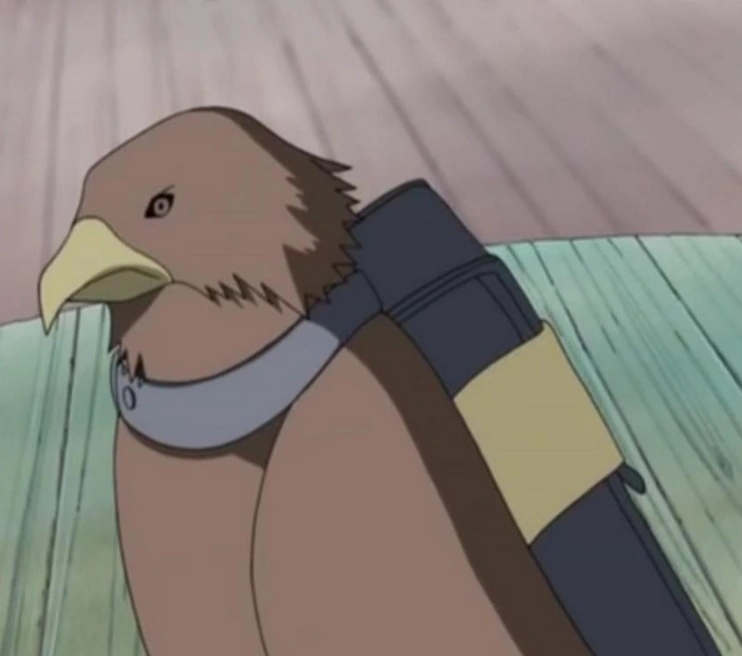 Takamaru | Wiki Naruto fanon | Fandom