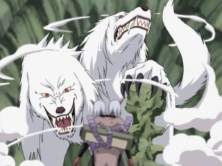 Human Beast Combination Transformation: Double-Headed Wolf | Naruto ...
