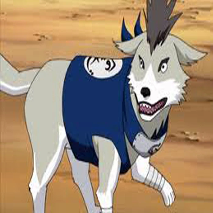 Shiba | Anime y Peliculas | Fandom