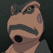 Sapos | Anime y Peliculas | Fandom