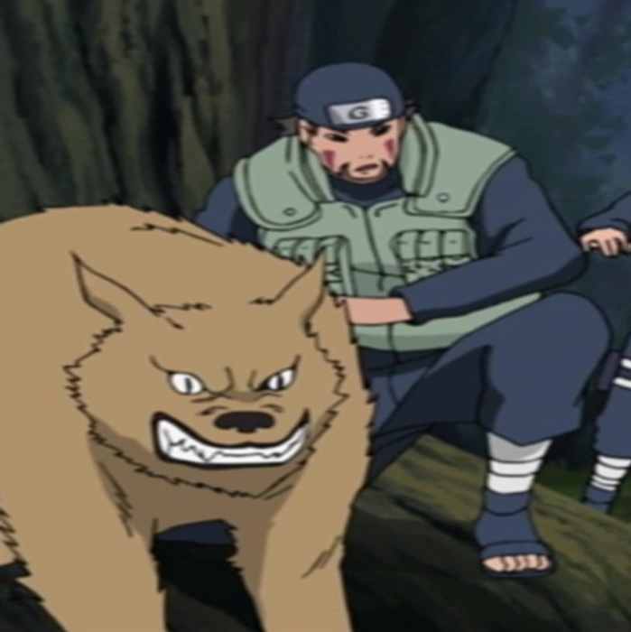 Miembro Sin Nombre del Clan Inuzuka | Anime y Peliculas | Fandom