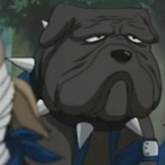 Buru | Anime y Peliculas | Fandom