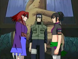 Nara Shimada | Naruto OC Wiki | Fandom