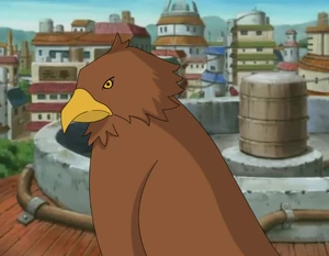 Karura | Naruto OC Wiki | Fandom