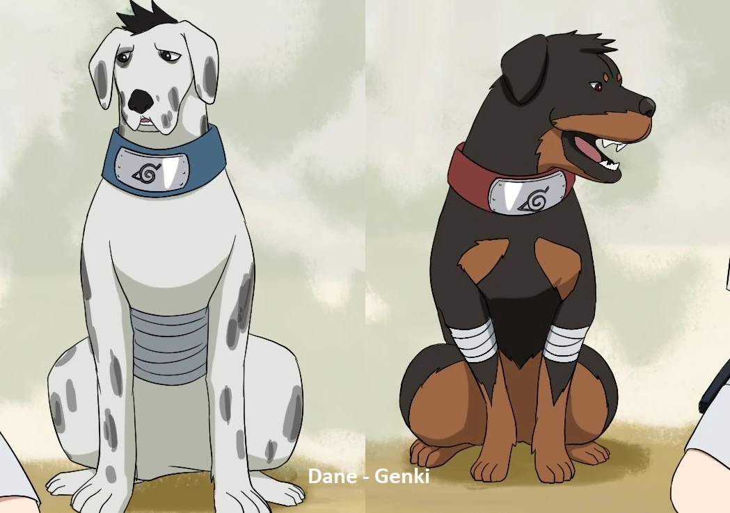 Ken's Ninken | Naruto OC Wiki | Fandom