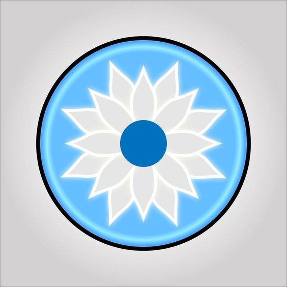 Tenseigan Hyûga Form | Naruto OC Wiki | Fandom