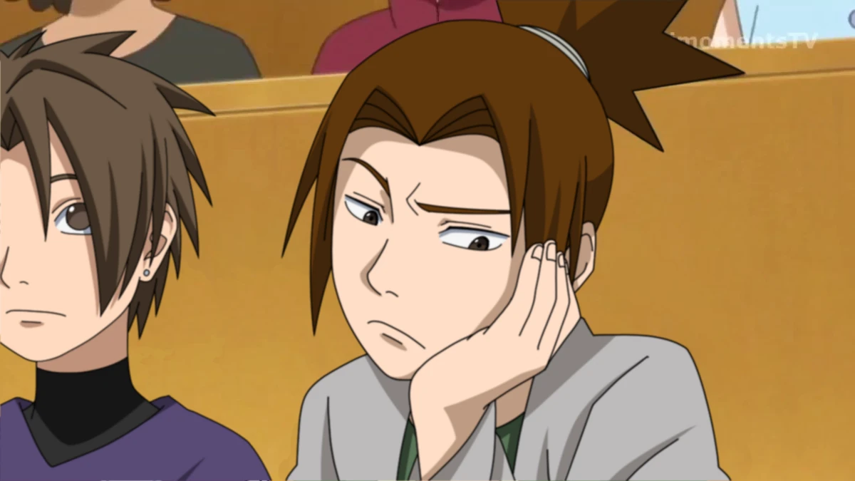 Shikaro Nara | Naruto OC Wiki | Fandom