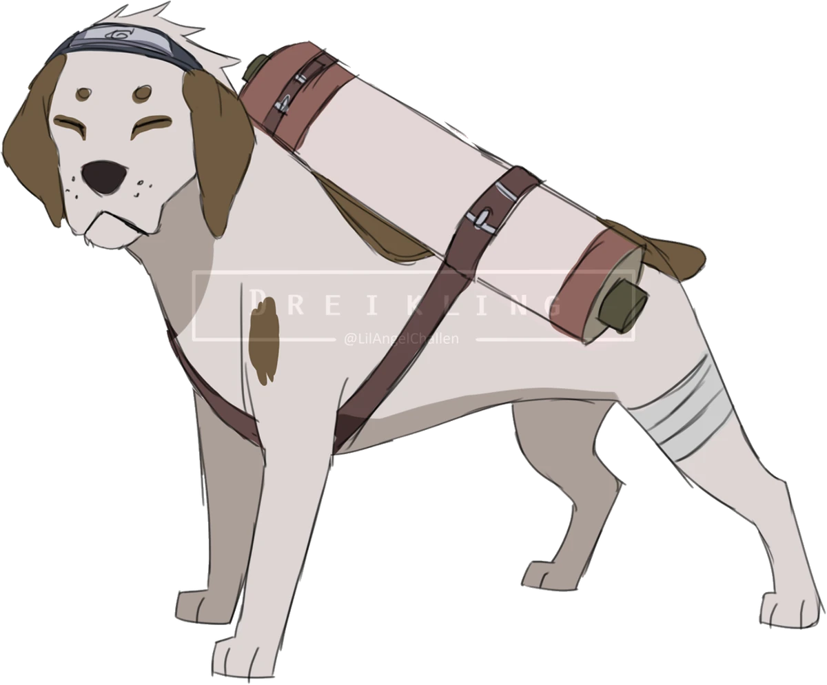 Hoshi | Naruto OC Wiki | Fandom