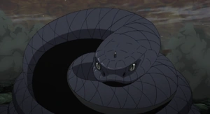 Aoda | Narutopedia. sr Wiki | Fandom