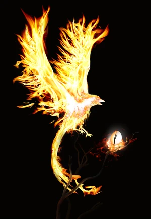 Fire Release: Phoenix Bullet Technique | Shinobi Legends Wiki | Fandom