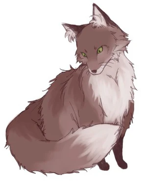 Kokū | Shinobi Legends Wiki | Fandom