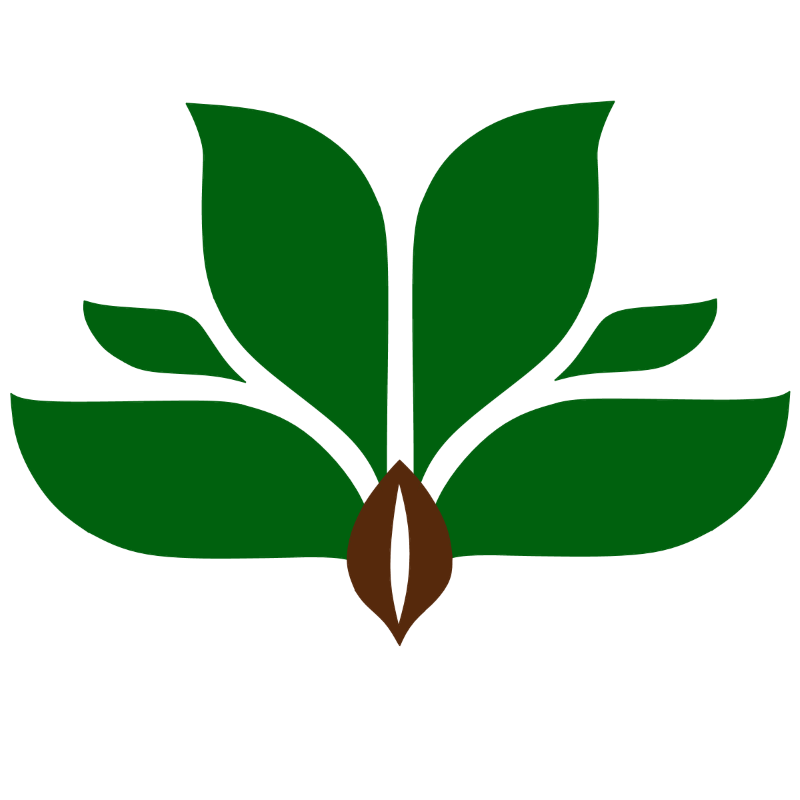 Tane Clan Narutorpg Wiki Fandom