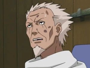 Hiruzen Sarutobi | Narutos-wiki | Fandom