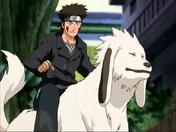 Akamaru | Wiki Naruto Shippuden Storm | Fandom