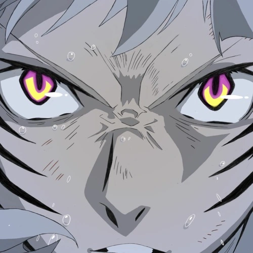 Toragan | Naruto Universe Wiki | Fandom