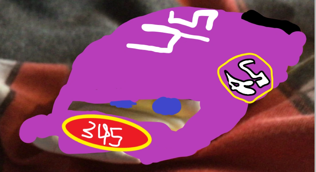 Rich Bickle | Wiki Nascar cup | Fandom