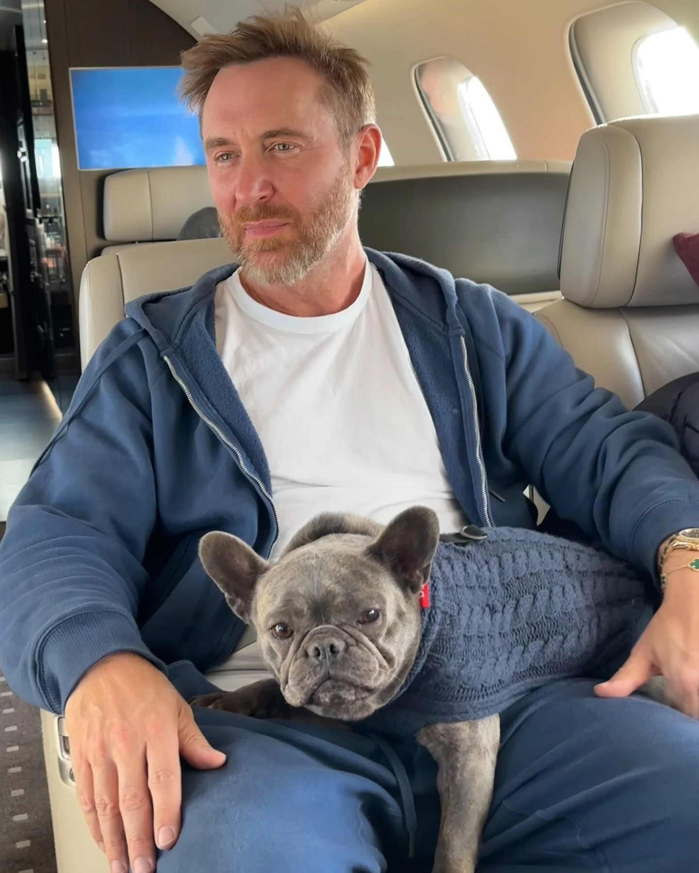 David Guetta | NEBU Wiki | Fandom