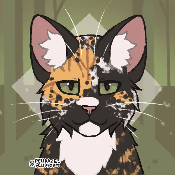 Limek | Nasze Koty Wiki | Fandom