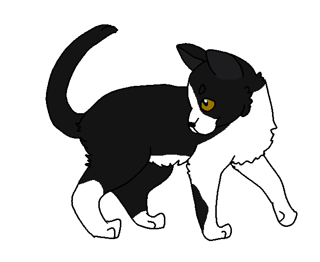 Luna | Nasze Koty Wiki | Fandom