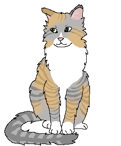 Tosia 2 | Nasze Koty Wiki | Fandom