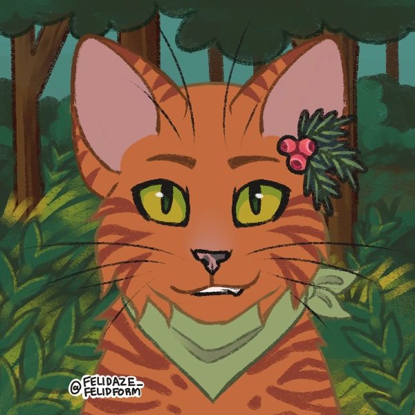 Rudek | Nasze Koty Wiki | Fandom