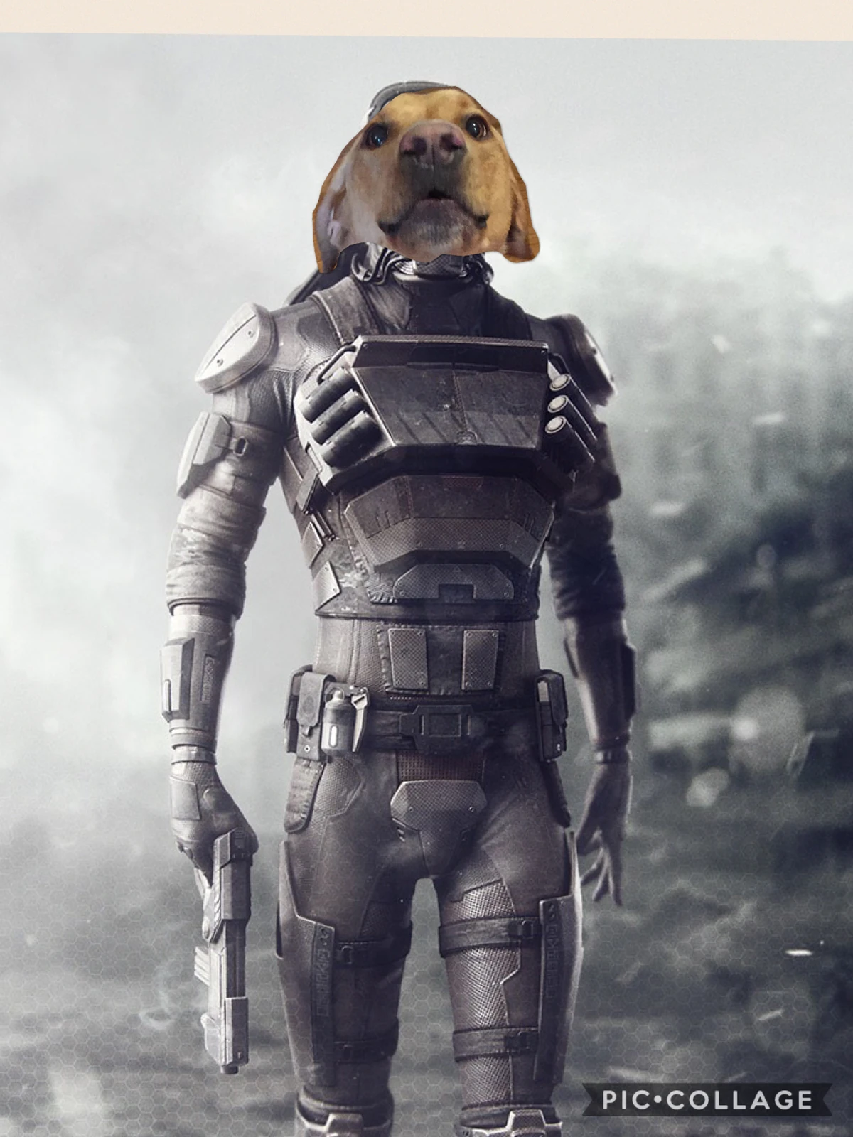 Dog world | NateSon Universe Wiki | Fandom