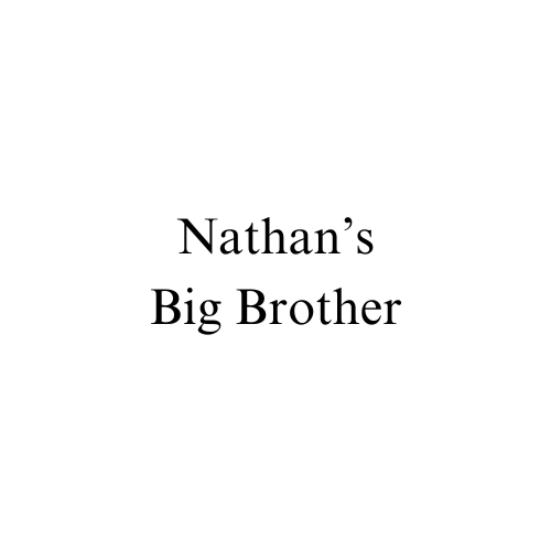 Nathan's Big Brother | Nathan's Big Brother Wiki | Fandom