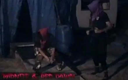 Dastardly Duo | Nathan's world Wiki | Fandom