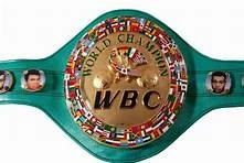 WBC World Light Heavyweight Championship | Nathan's world Wiki | Fandom